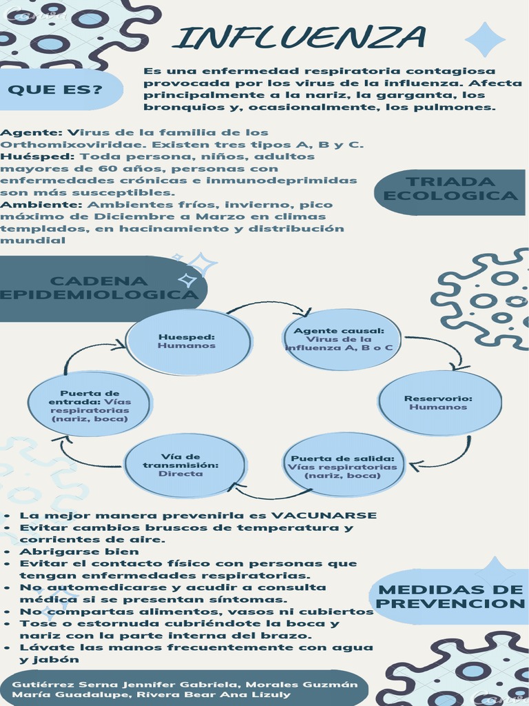 Influenza Infografía | PDF