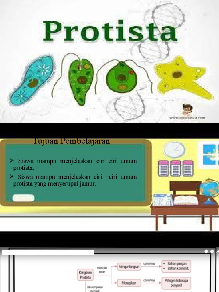 Bab 4 Protista | PDF
