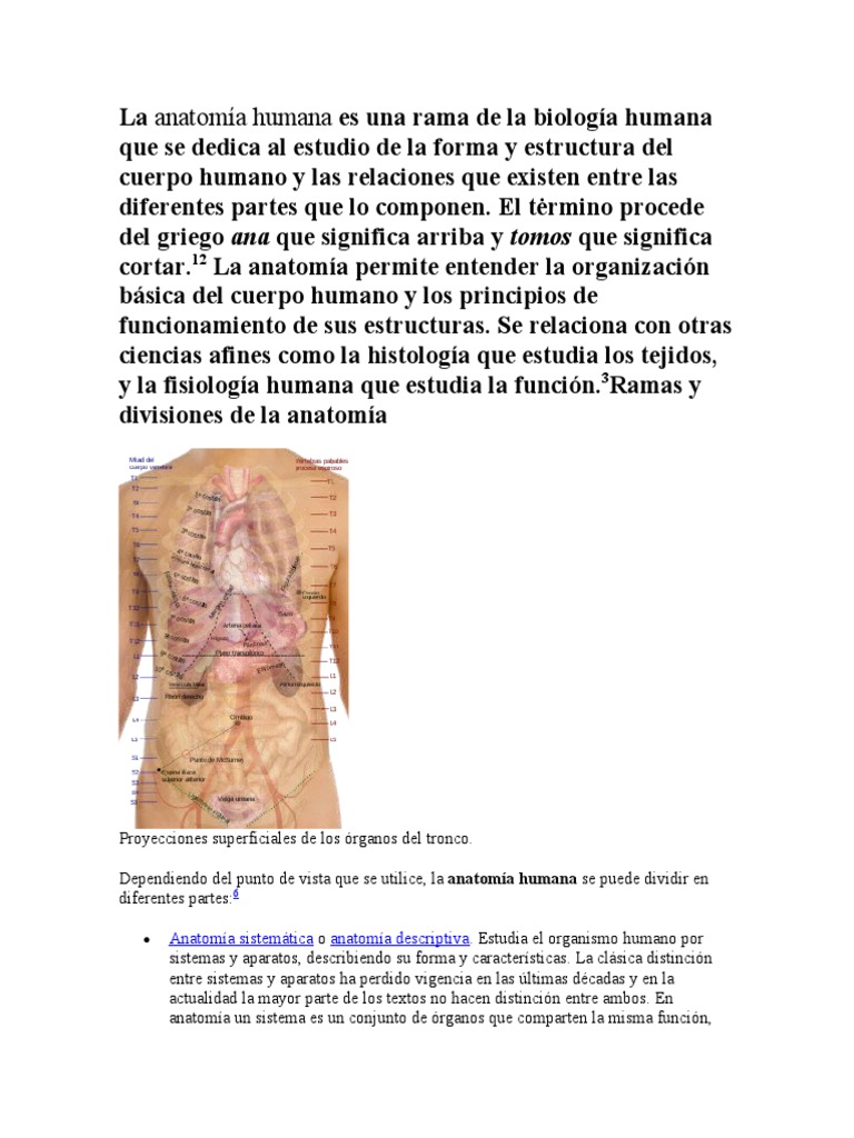 Anatomía Humana: Ramas y Estudio | PDF | Anatomía | Medicina CLINICA