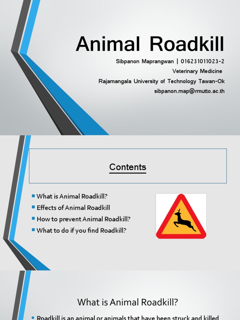 Animal Roadkill | PDF