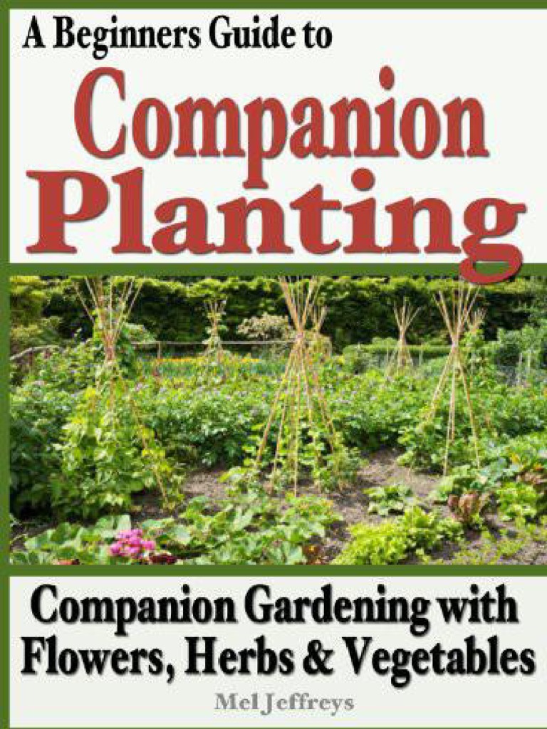A Beginners Guide To Companion Planting Companion Gardening With | PDF ...