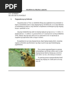 Ra 9482 Anti-Rabies Act | PDF