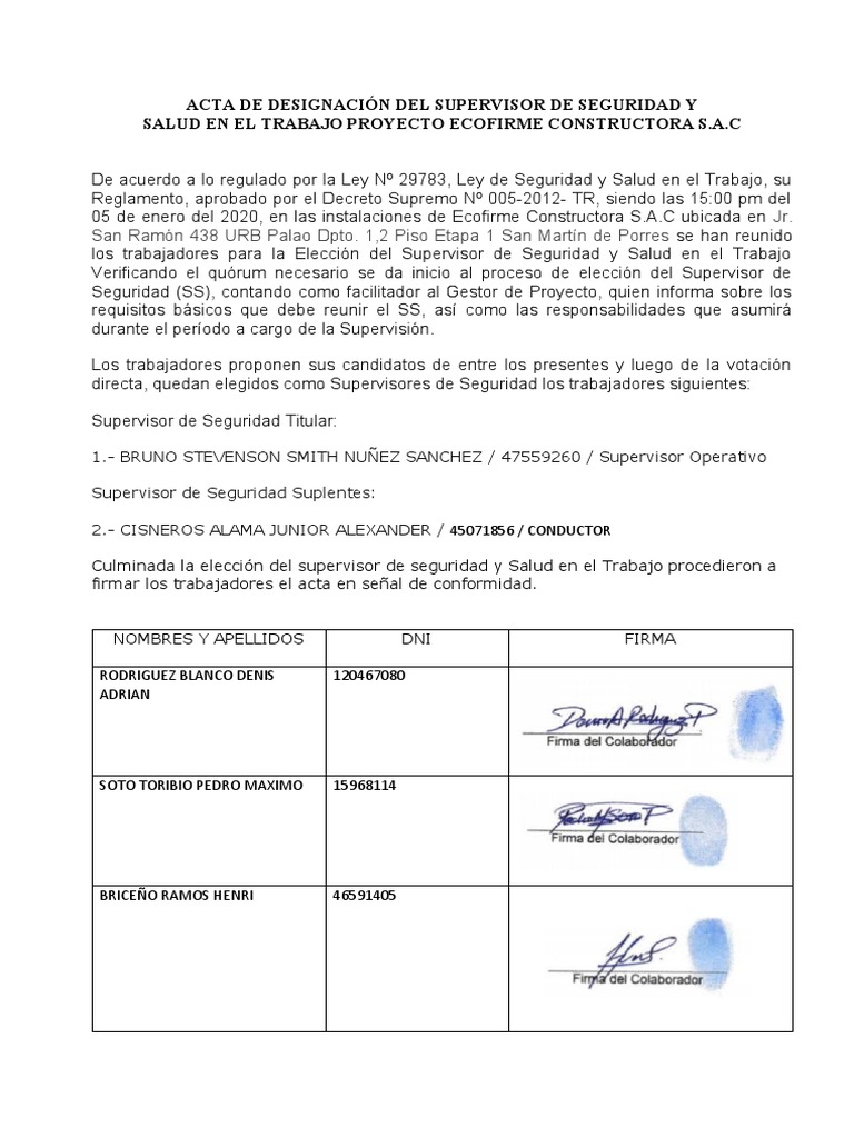 Acta de Designación Del Supervisor de Seguridad y | PDF