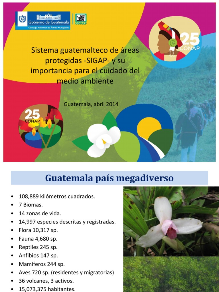 Importancia del SIGAP en Guatemala | PDF | Ciencia medioambiental ...