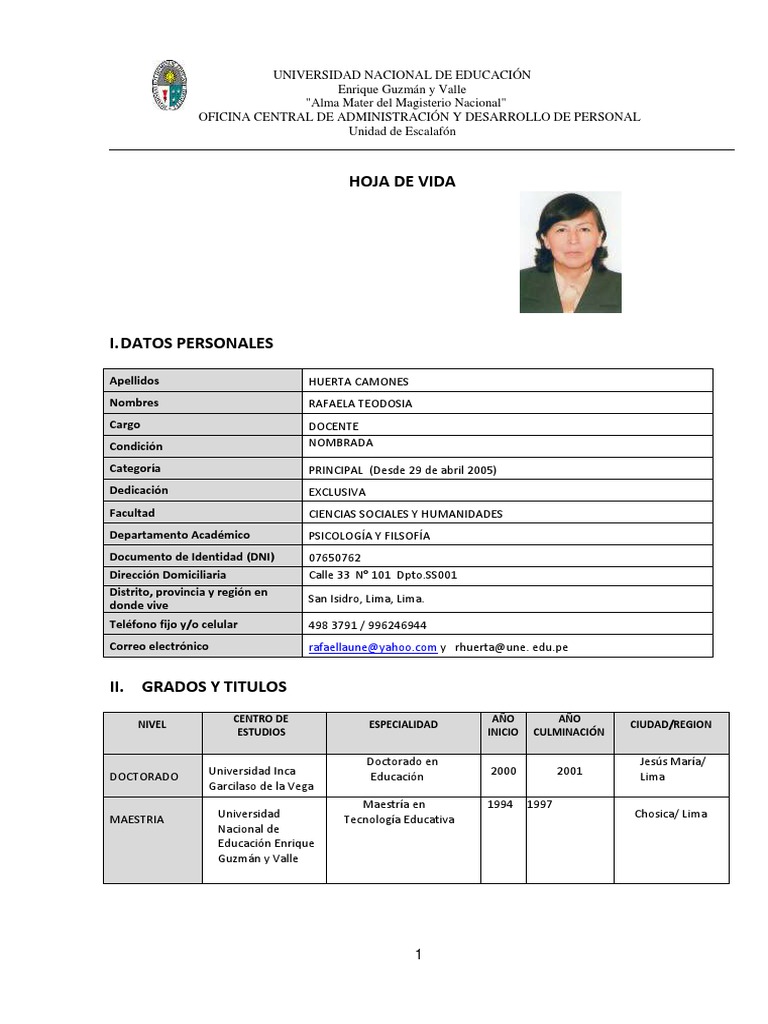 CV DRA HUERTA CAMONES RAFAELA TEODOSIA - CV | PDF | Lima | Universidad