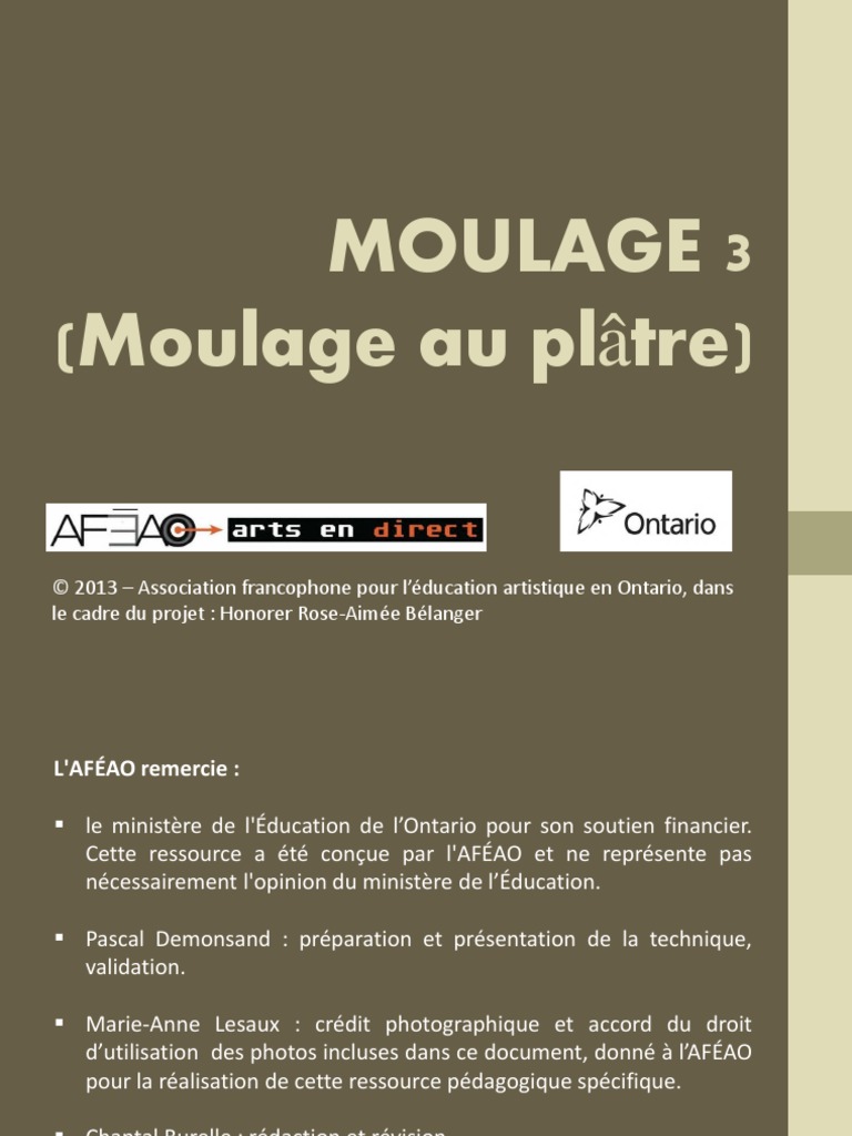 Moulage 3 Platre | PDF | Plâtre | Argile