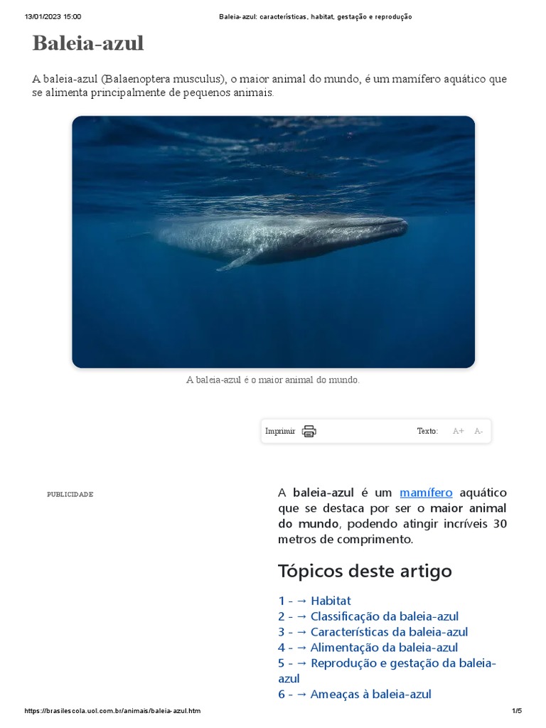 A baleia azul | PDF | Baleias