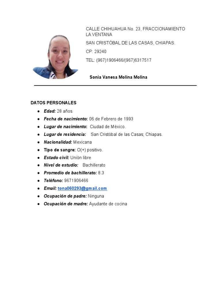 Cv. Sonia Molina | PDF