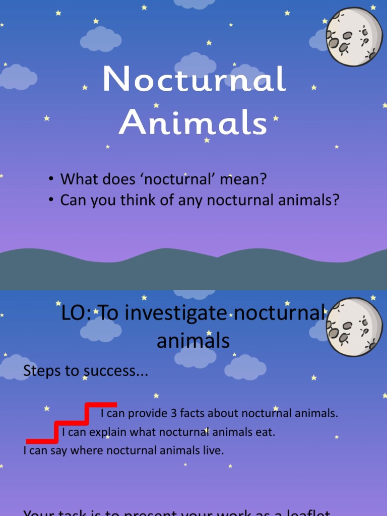 Nocturnal Animals and Their Habitats | PDF