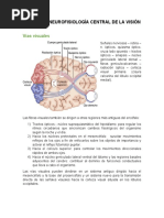 Anatomía y funciones de las vías visuales | PDF | Ojo humano ...