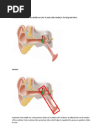 Inpatient Electrolyte Repletion Guide | PDF | Magnesium | Clinical Medicine