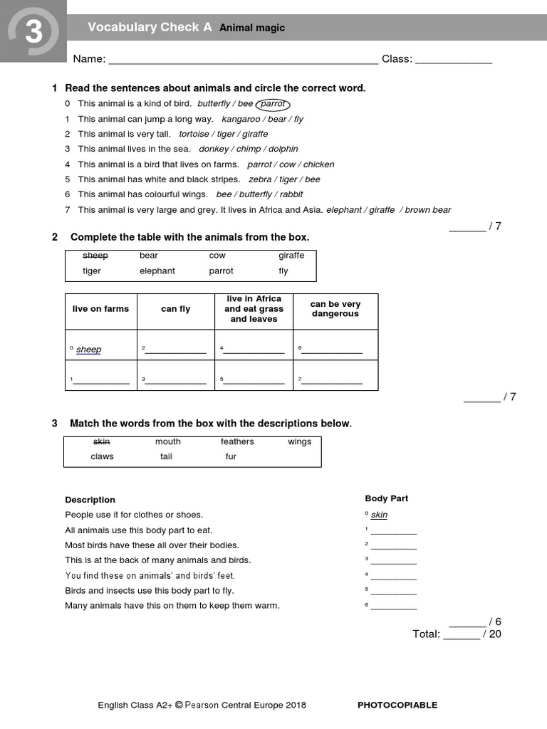 ECA2+ - Tests - Vocabulary Check 3A - 2018 | PDF | Parrot | Birds