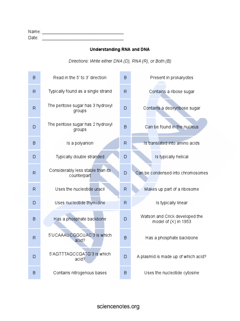 Directions: Write Either DNA (D), RNA (R), or Both (B) | PDF