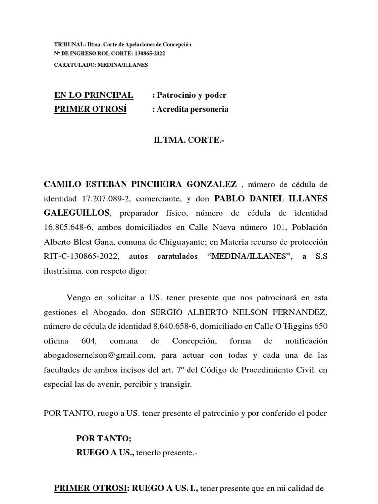 Patrocinio y Poder | PDF