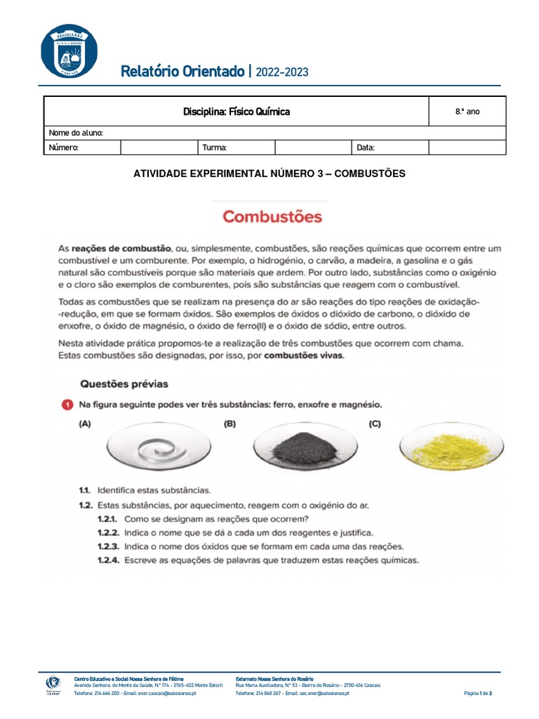 Atividade Prática 3 COMBUSTÃO | PDF