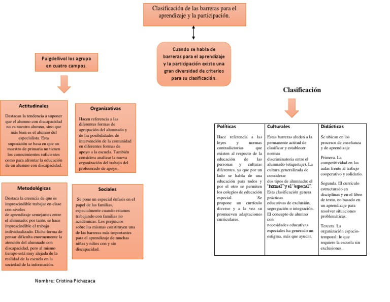 Clasificación de Las Barreras para El Aprendizaje y La Participación | PDF | Plan de estudios ...