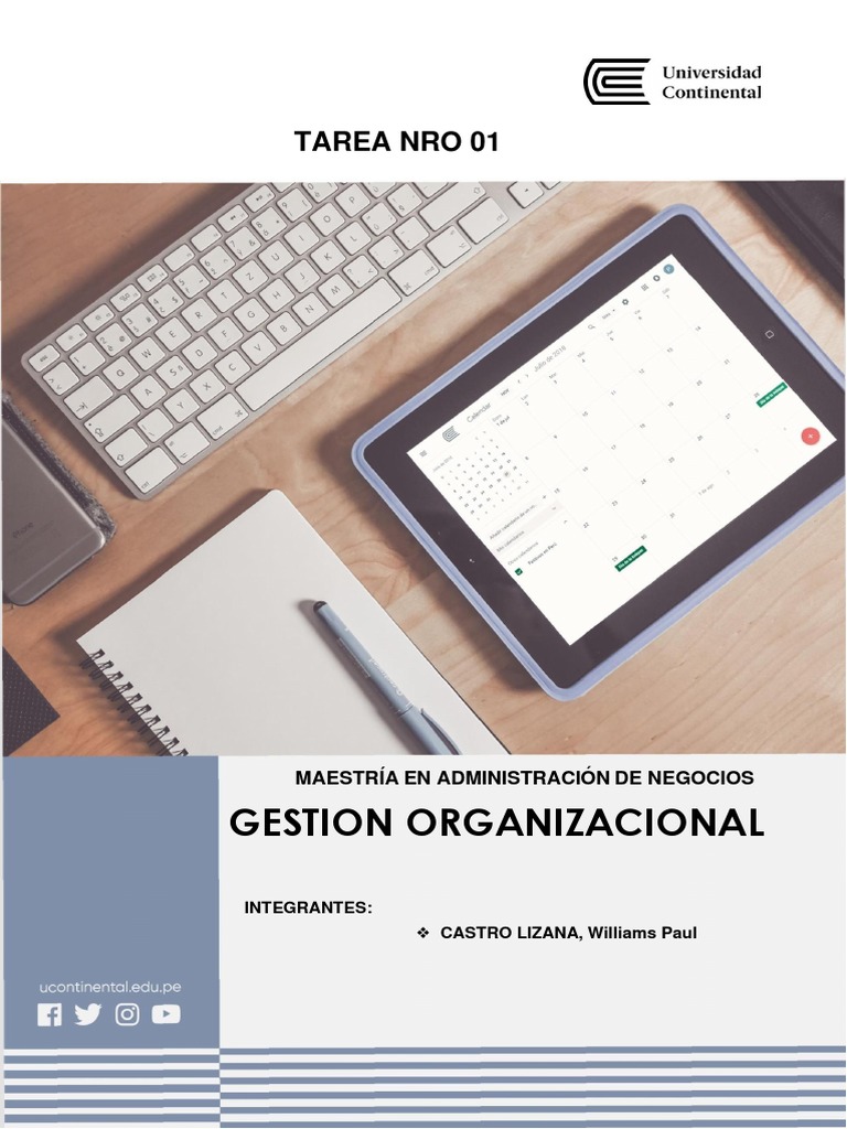 Tarea N-01 Diseño Organizacional | PDF