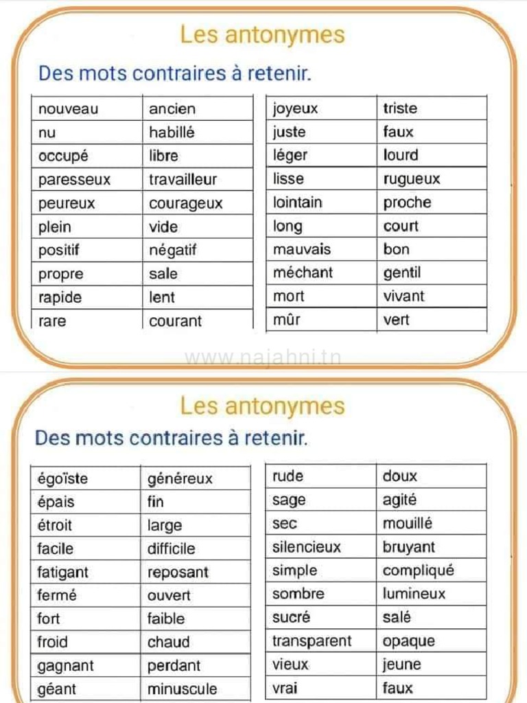 Les Synonymes Et Les Antonymes Pour 5eme Et 6eme Annee | PDF
