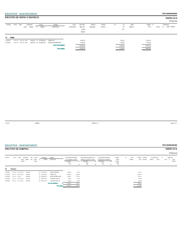 Examen Final Info Contable | PDF | Industrias de servicio | Gestión de la cadena de suministro