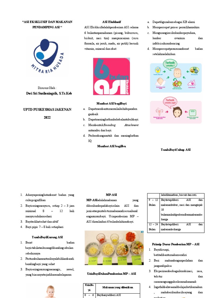LEAFLET Asi Eksklusif Dan MP Asi | PDF