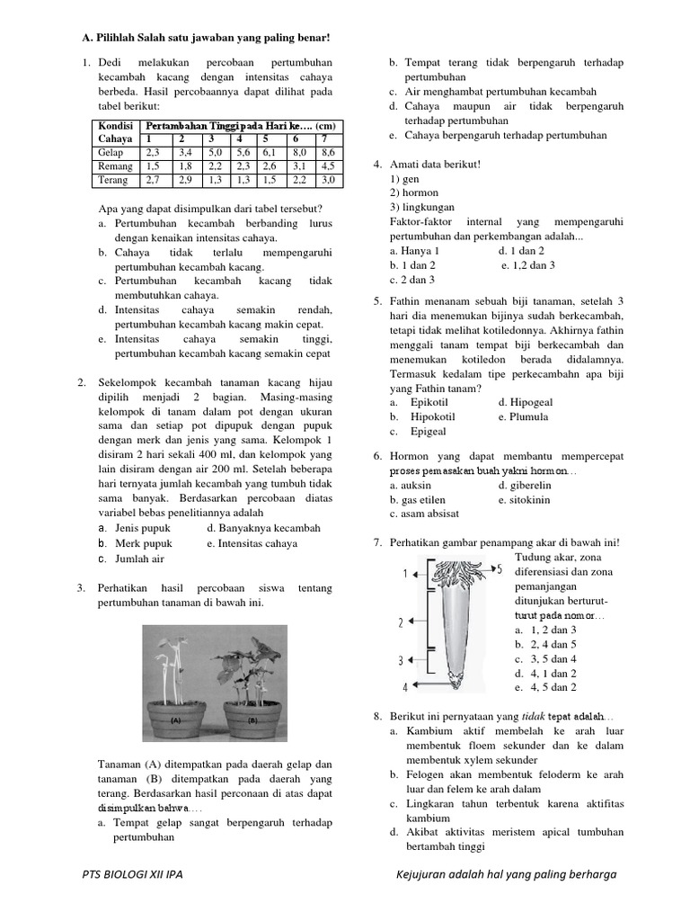 Latihan Soal Bio Xii | PDF