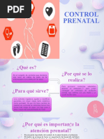 Carnet Control Prenatal | PDF | El embarazo | Partería