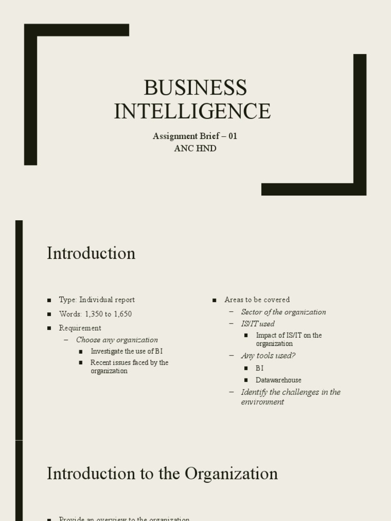 Business Intelligence - Assignment Brief 01 | PDF | Decision Making | Group Decision Making