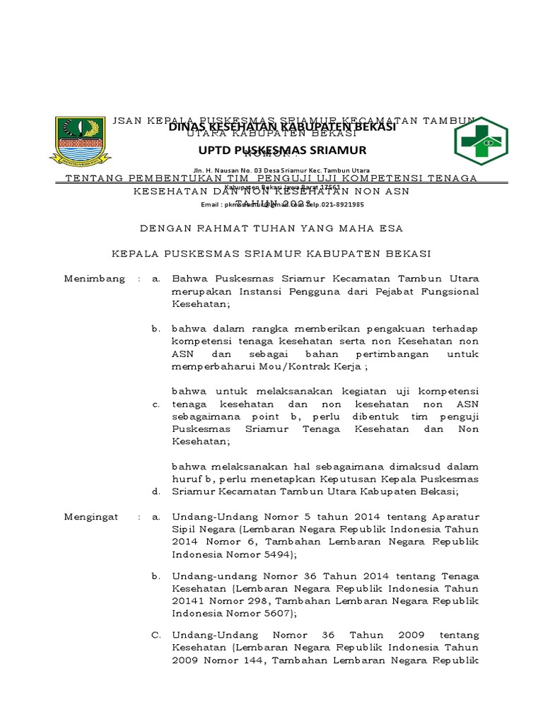 SK Tim Penguji Uji Kompetensi | PDF