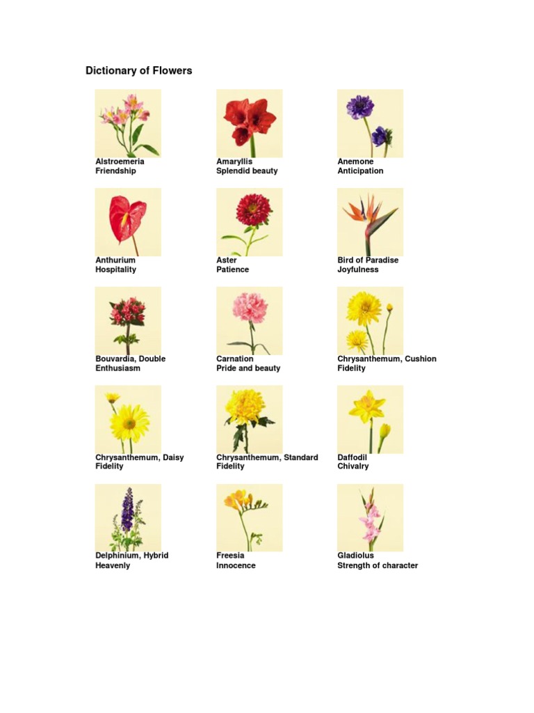 Flower Meanings Dictionary | PDF | Home & Garden | Religion & Spirituality