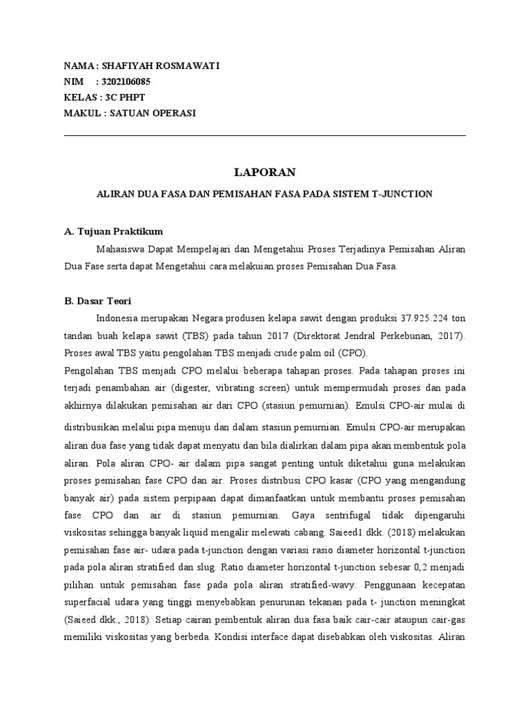 LAPORAN SATOP2 (Rosma) | PDF