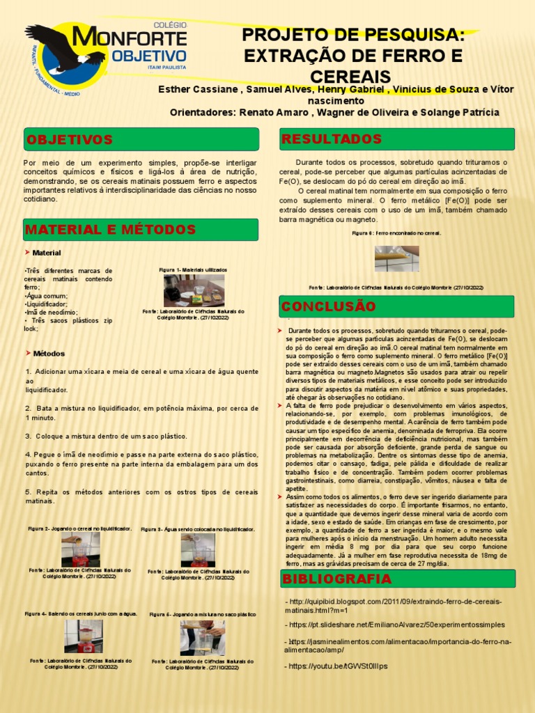 Cópia de MODELO BANNER TCC - Modelo 1 Ano | PDF | Ímã | Ferro