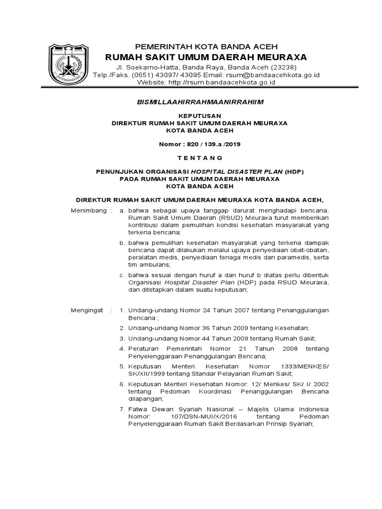 Penunjukan Organisasi HDP RSUD | PDF