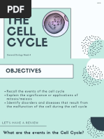 Mitosis Virtual Lab Answer Sheet Part2 | PDF | Mitosis | Cell Cycle