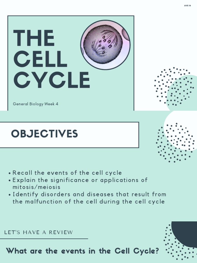 Gen Bio 1 - Mitosis and Meiosis | Download Free PDF | Mitosis | Meiosis