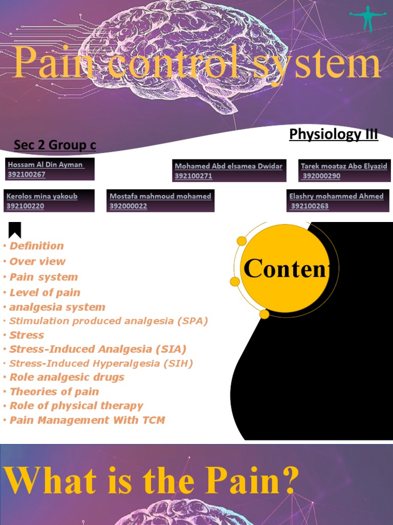Pain | PDF | Analgesic | Pain