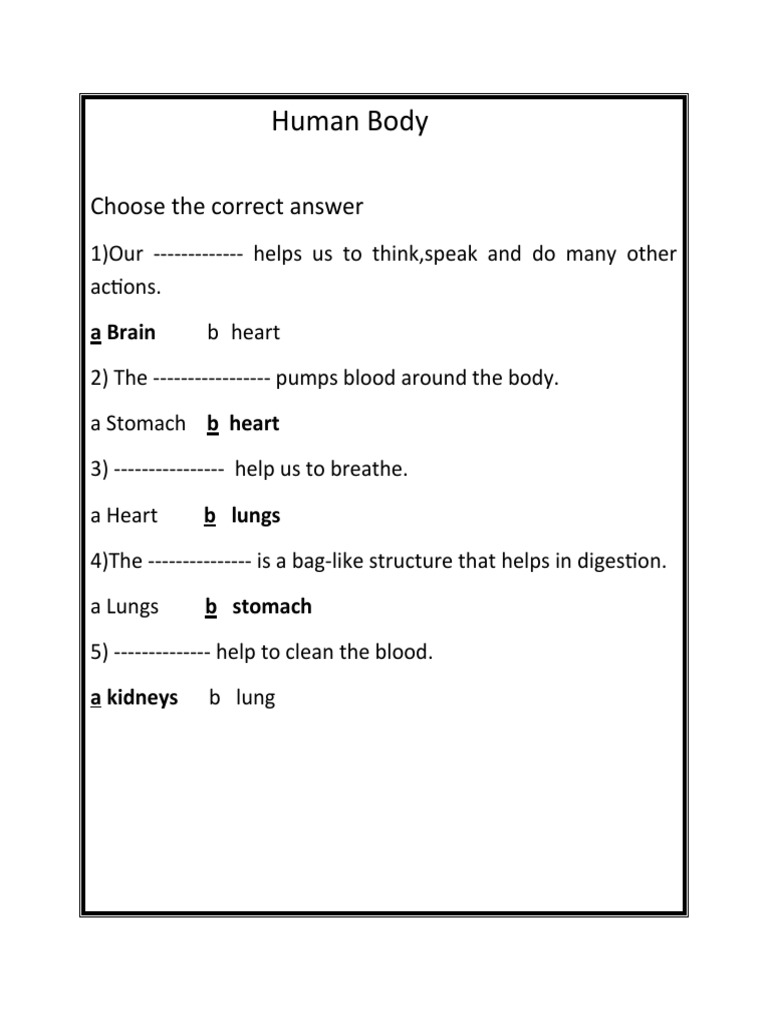 Human Body Class 2 | PDF | Foods | Root