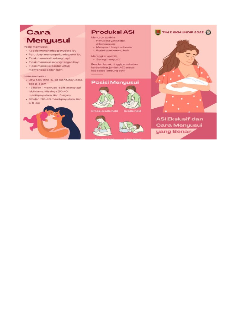 Leaflet Menyusui | PDF