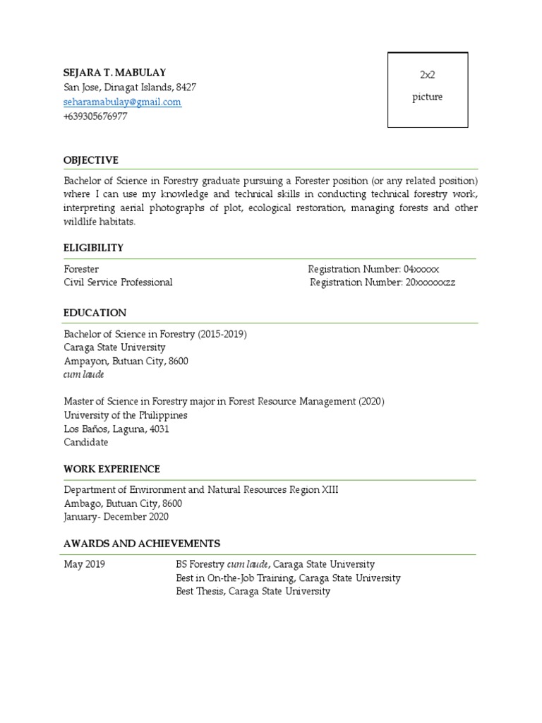 Sample Resume | PDF