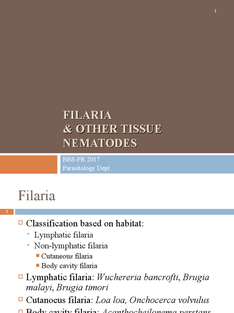 Filarial and Tissue Nematodes Overview | PDF | Parasitology | Medical ...