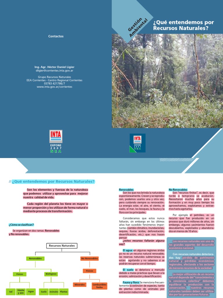 Recursos Naturales: Definición y Clasificación | PDF