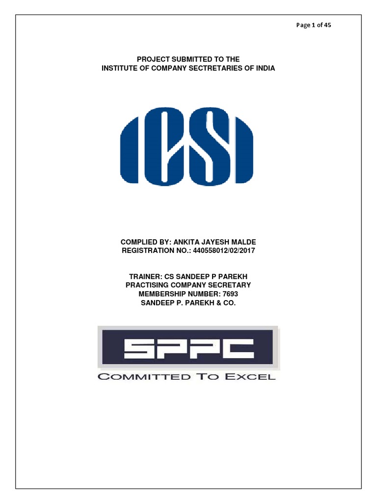 Csr Project Report Pdf Corporate Social Responsibility Business