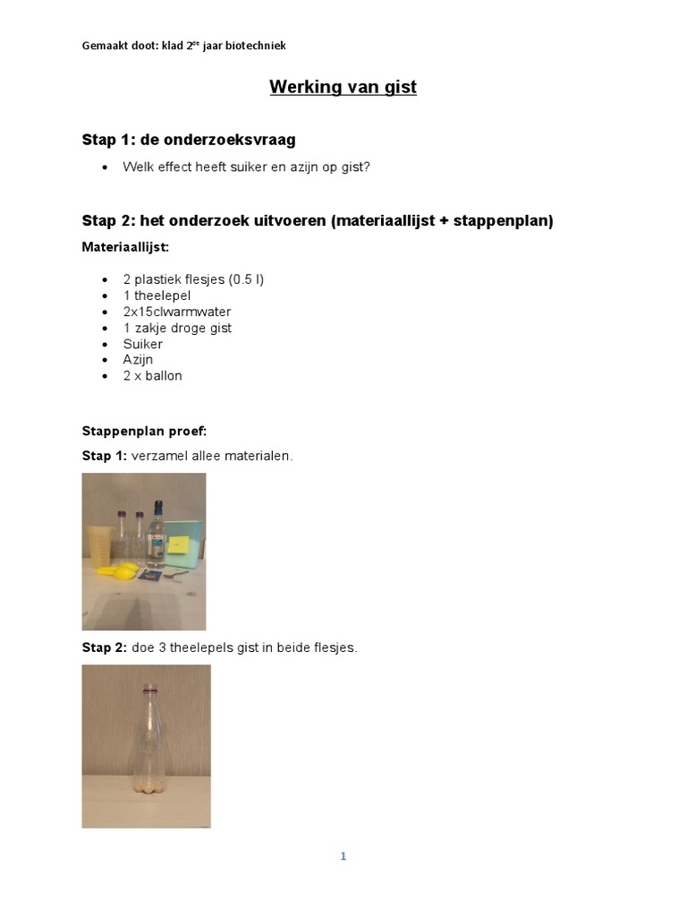 Werking Van Gist | PDF