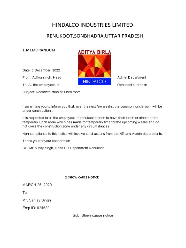 Hindalco Industries Limited | PDF