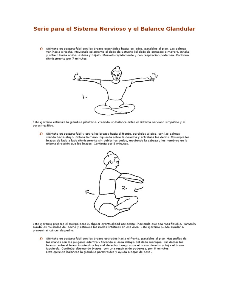 Serie para El Sistema Nervioso y El Balance Glandular | PDF