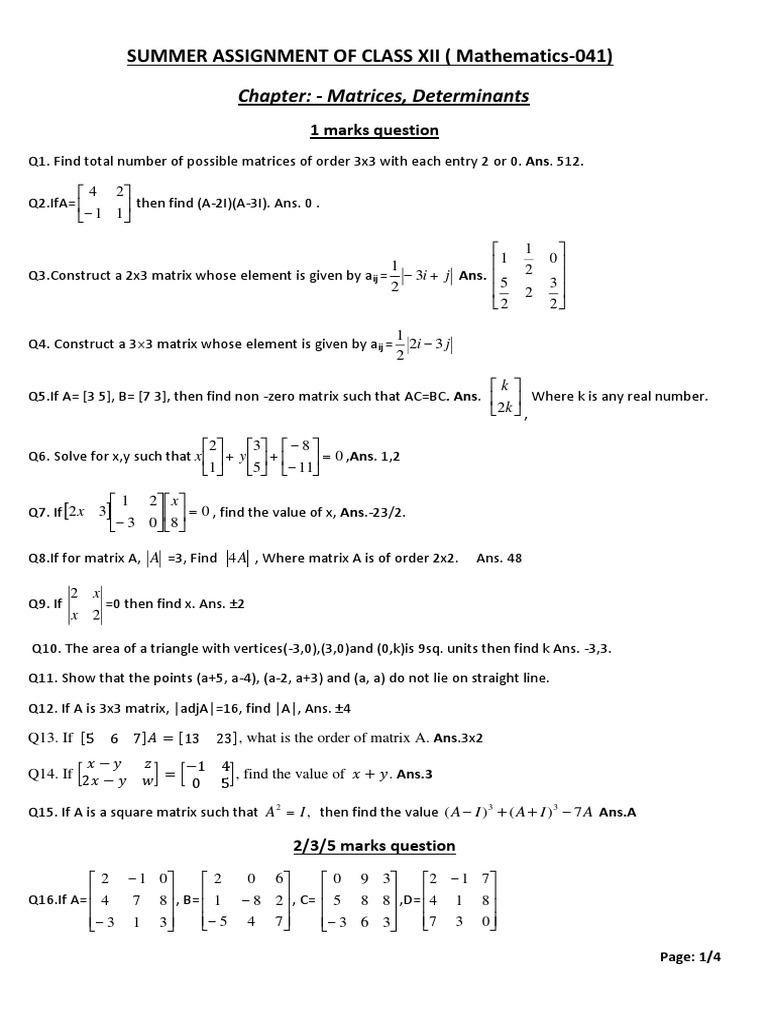 Class XII Math Assignment: Matrices & Functions | PDF | Matrix ...