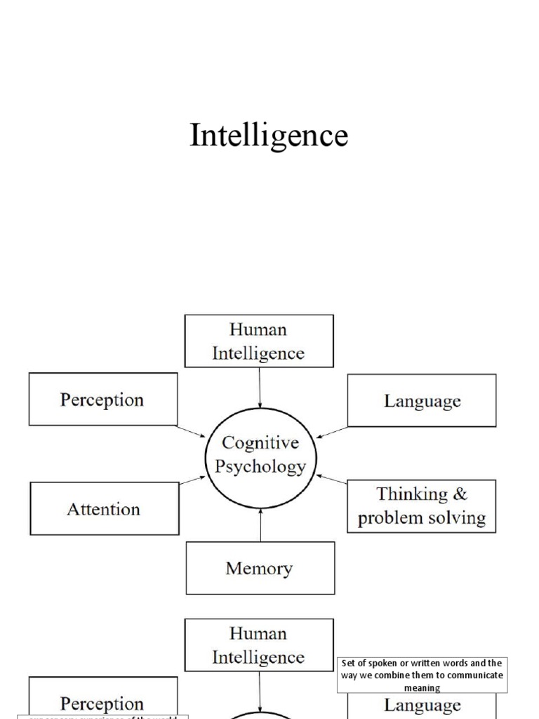 8 Intelligence | PDF | Intelligence | Psychological Concepts
