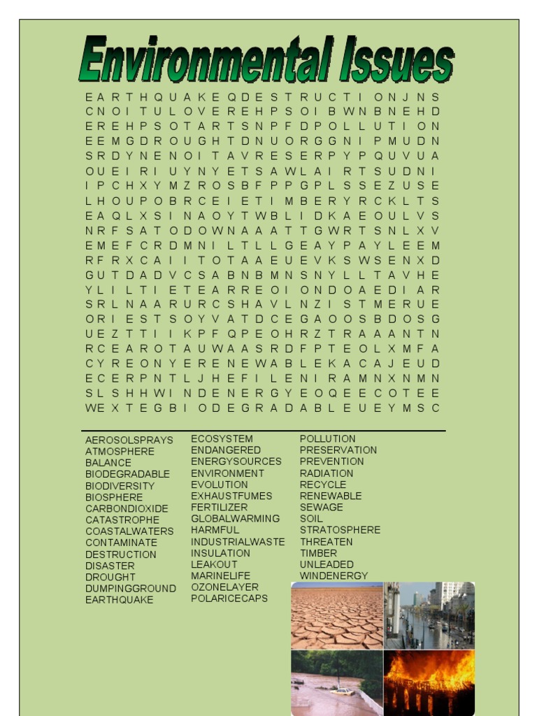 Environmental Science Word Search | PDF | Environmental Social Science ...