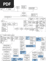 ABI Worksheet: Patient Name: Patient ID: Date | PDF | Medical ...