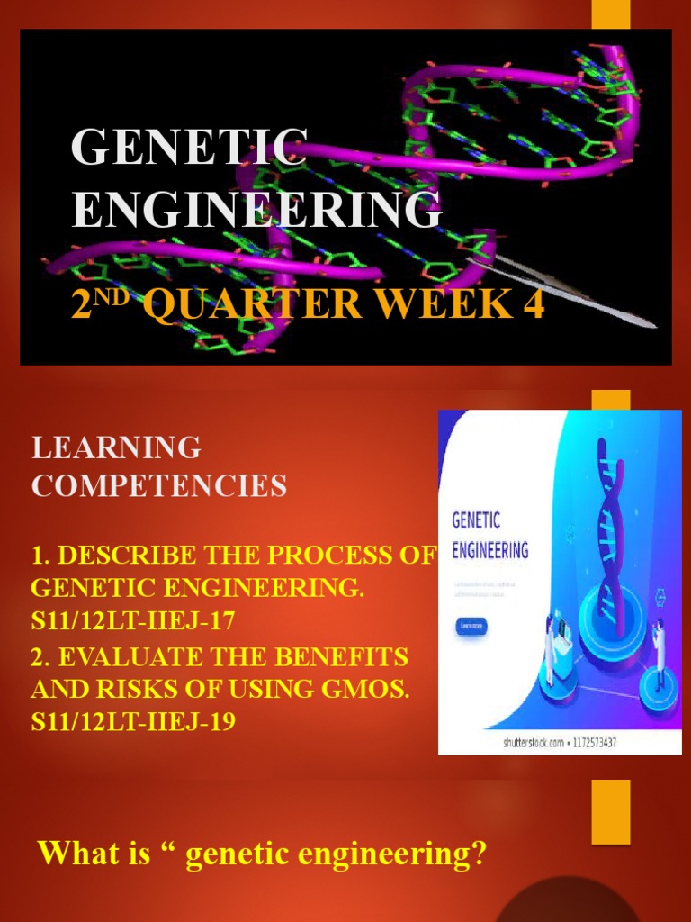 2ND QUARTER WEEK 4 GENETIC ENGINEERING Final | PDF | Genetic ...