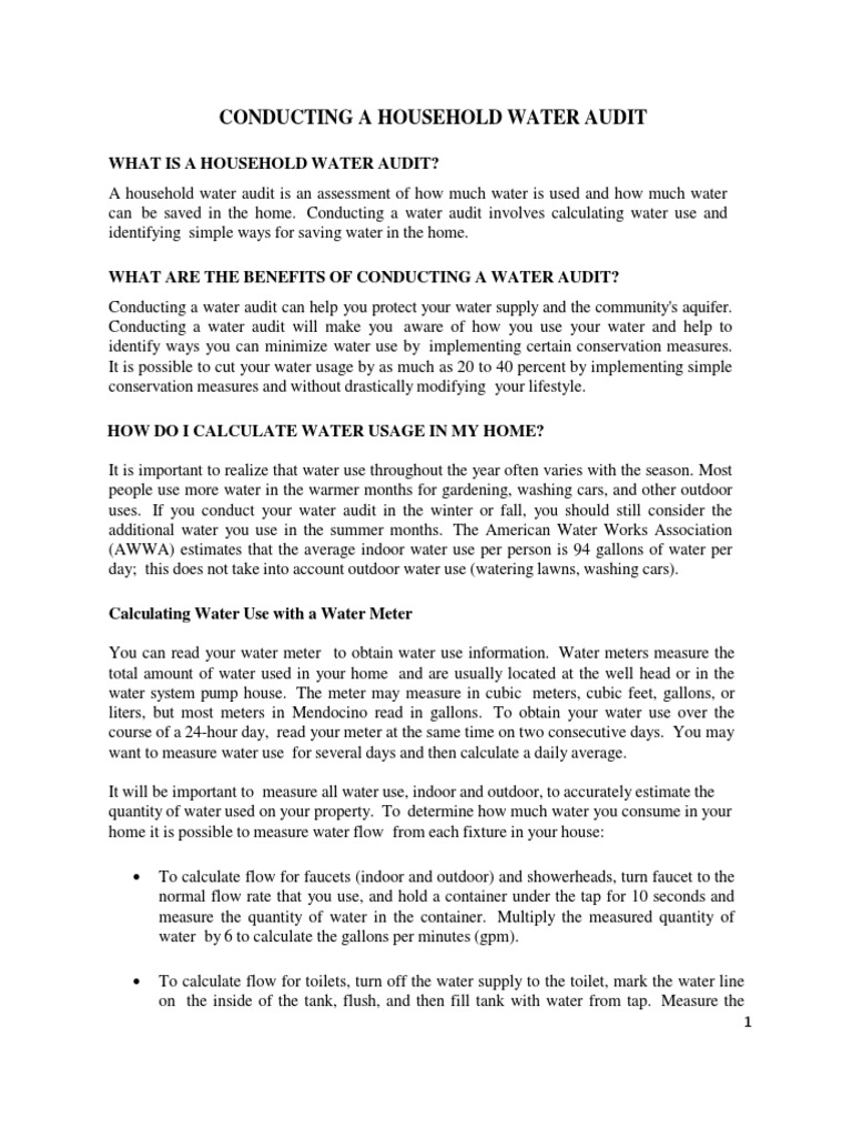 Water Audit | PDF